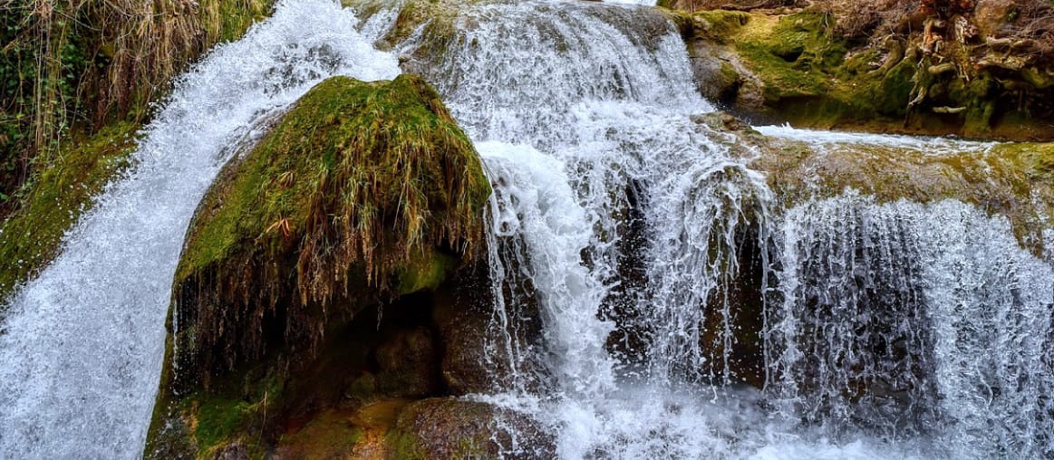 Mahua Bagh - Mahua Resorts